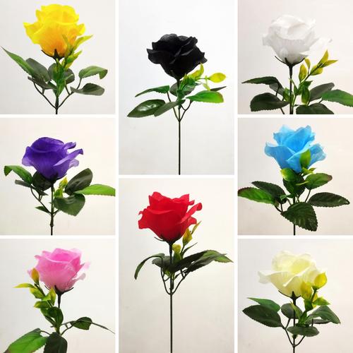 Jual Bunga mawar 1 tangkai - Putih - Kota Bandung - Wego | Tokopedia