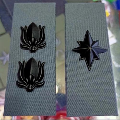Jual PANGKAT KERAH BAJU PDL LETKOL AL + KORP LOGAM COSTUM - PANGKAT ...