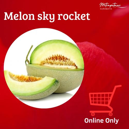 Jual Melon sky rocket, Melon super, buah Melon sky rocket - Kota ...