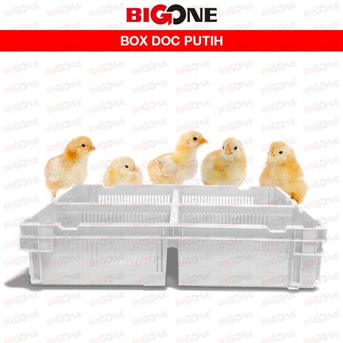 Jual Box Doc Plastik 4 Sekat Kapasitas 100 Ekor - Kota Tangerang - Big ...