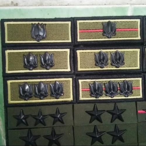 Jual PANGKAT TOPI PDL MATRA DARAT LOGAM - PANGKAT TOPI PET PDL KOLONEL ...