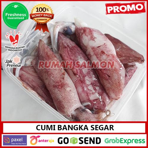 Jual Cumi Bangka/Cumi Bangka Besar Segar/Cumi Cumi Segar Bangka Super ...