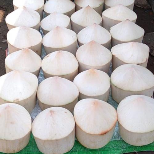 Jual Kelapa Muda Kupas Diamond - Jakarta Barat - Mandor Fruit ...