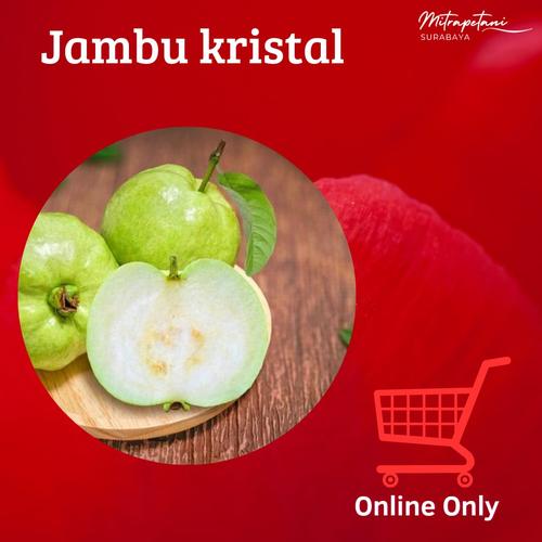 Jual Jambu kristal 1kg, jambu kristal fresh, jambu kristal segar - Kota ...