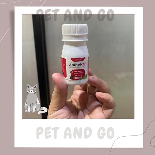Jual Anthel Cat 1 Tablet - Obat Cacing Kucing by Kalbe [ORIGINAL ...