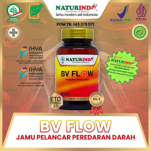 Promo Obat herbal PELANCAR PENYUMBATAN SIRKULASI DARAH - BV FLOW ...