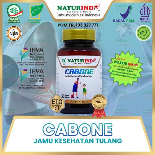 Promo Obat Herbal NUTRISI TULANG KEROPOS OSTEOPOROSIS - CABONE ...