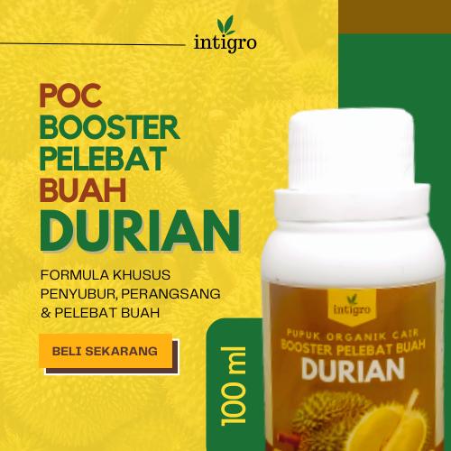 Jual Pupuk Pelebat Durian / Pupuk Booster Pelebat Buah Durian 100cc ...