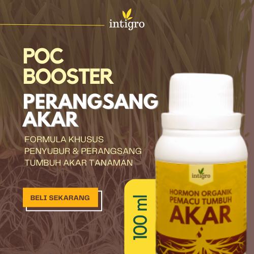 Jual Pupuk Akar dan Batang Tanaman / Pupuk Penumbuh Akar Cangkok Stek ...