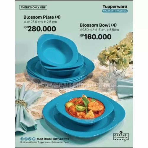 Jual Tupperware paket plate + bowl 8pcs tempat makan set - Jakarta ...