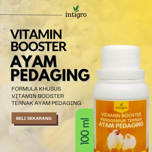 Jual Vitamin Ternak Ayam Broiler Pedaging / Obat Ternak Ayam Pedaging ...