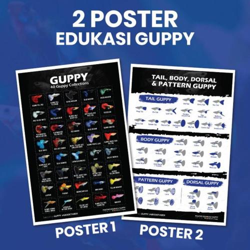 Jual Poster Edukasi Ikan Guppy (2) | Jenis & Pattern Guppy - Jakarta ...