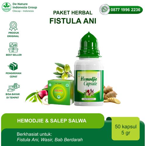 Jual Obat Fistula Ani dan Abses Perianal Herbal - Hemodjie dan Salwa ...