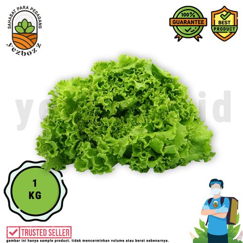 Jual Daun Selada / Salada 1000 gram (1 Kg) - Jakarta Pusat - Yezbozz ...