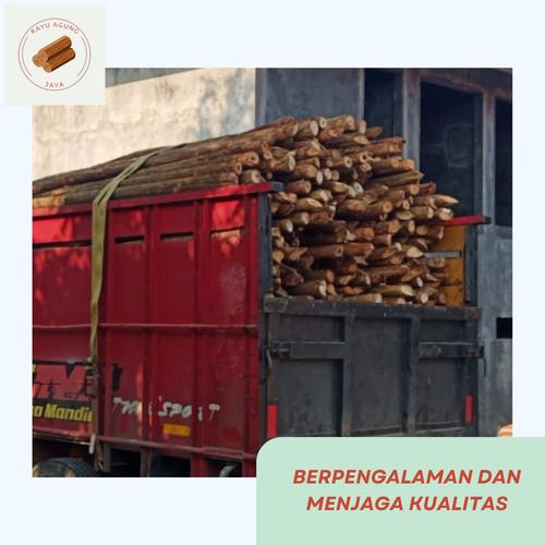 Jual Kayu Dolken Ukuran 6/8 untuk proyek - Harga per Batang - Kota ...