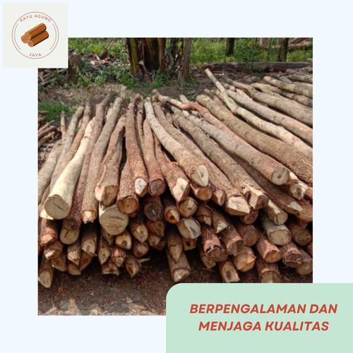 Jual Kayu Dolken 10/12 untuk Proyek - Harga per Batang - Kota Tangerang ...