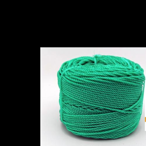 Jual ECER TALI SALARAN RAMBATAN NYLON TALI RAMBAT TAMPAR 1.5MM MELON ...