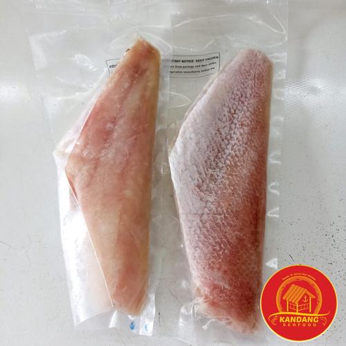 Jual Ikan Kakap Merah Fillet Premium / Red Snapper / Frozen Fresh - 1 ...