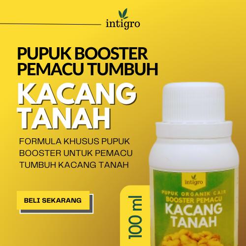 Jual Pupuk Kacang Tanah Hasil Panen Melimpah / Pupuk Booster Tanaman ...