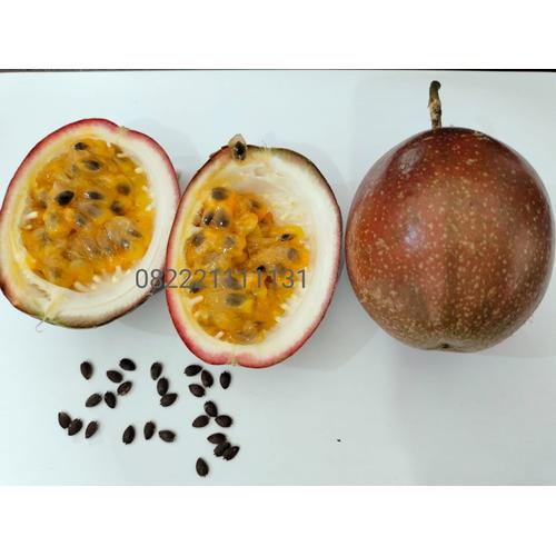 Jual Bibit / Benih / Biji Buah Markisa Ungu Manis Super Benih - Kota Cimahi - Rundawa Teknik ...