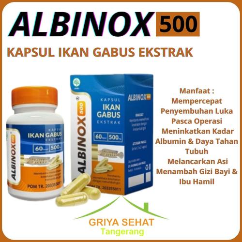 Jual Suplemen Penyembuh Luka Albumin Albinox Kapsul Ekstrak Ikan Gabus ...