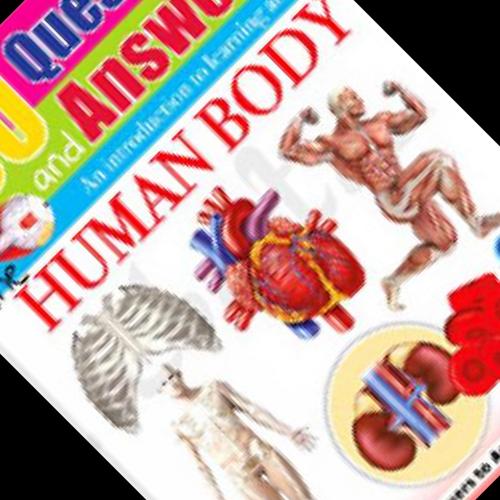 Jual 500 Q&A Human Body (ORIGINAL ENGLISH VERSION) - Jakarta Timur ...