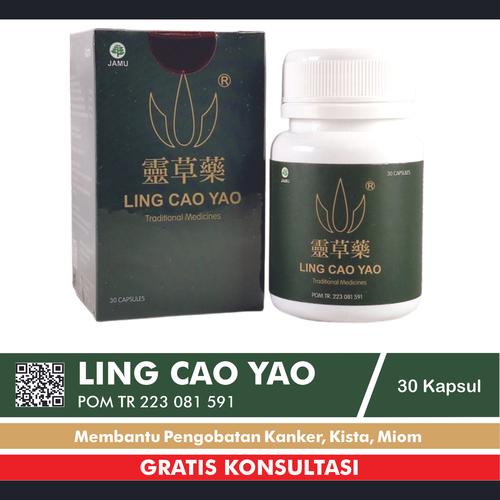 Jual Ling Cao Yao - (Obat Kanker / Kista) - Kota Bandung - Indo Jamu ...
