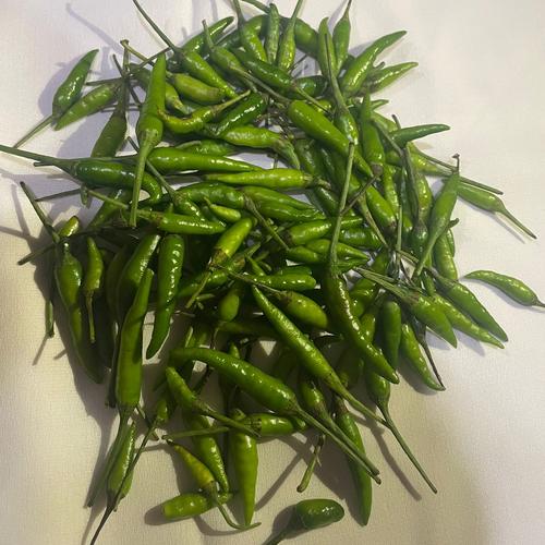 Jual Cabai rawit hijau segar | Cabai rawit lalap | cabai rawit 1/4 - 1 ...