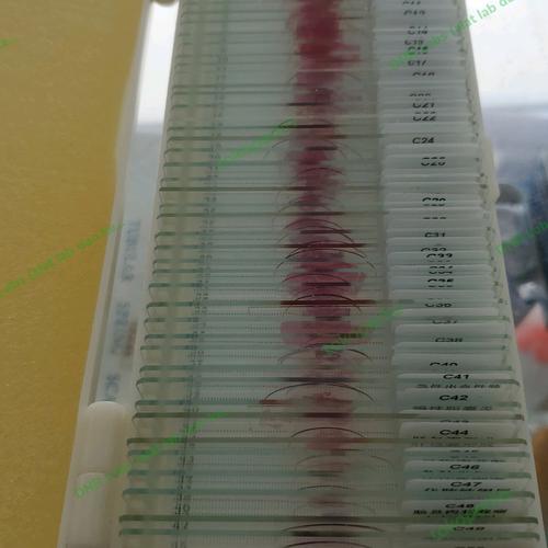 Jual preparat human pathology patologi phatalogi patalogi - Kab. Bantul ...