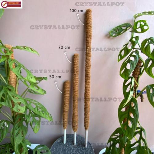 Jual rambatan tanaman | turus peyangga tanaman rambat 50cm - pipa full ...