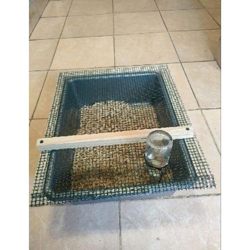Jual kandang tikus putih kandang mencit kandang ASF kandang kotak rak ...