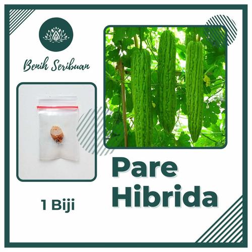 Jual 1 Biji Benih Pare Hibrida F1 Sayuran Pahit Besar Komando Bibit ...