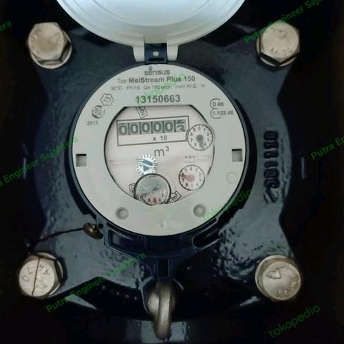 Jual Flow Water Meter Sensus Meistream 6 Inch PN 16/30°C - Jakarta ...