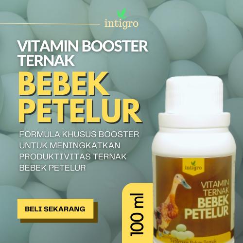Jual Vitamin Bebek Petelur / Booster Vitamin Bebek Petelur Bertelur ...