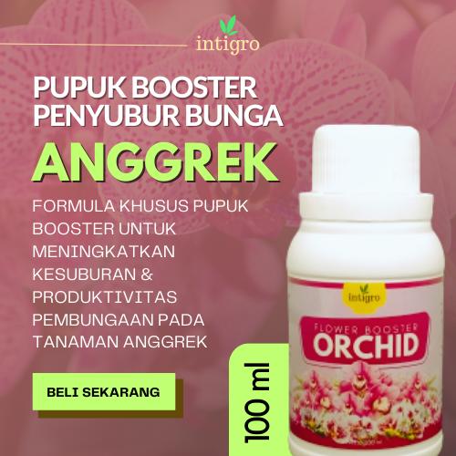 Jual Pupuk Anggrek Untuk Bunga / Booster Anggrek Berbunga Penumbuh ...