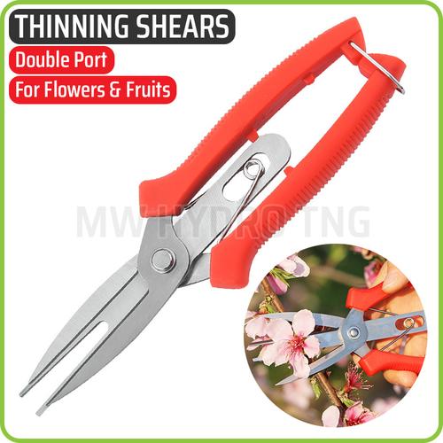 Jual Gunting Penjarangan Buah - Double Port Flower & Fruit Thinning ...