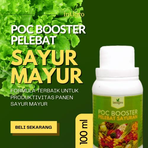 Jual Pupuk Sayuran dan Buah / Pupuk Penyubur Sayuran Hidroponik Booster ...