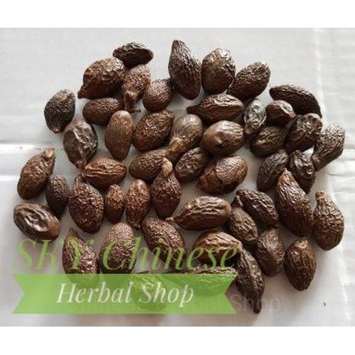 Jual Kacang Malva / Buah Tempayang / Semangkuk /Tempoyan/ BengTaHai ...