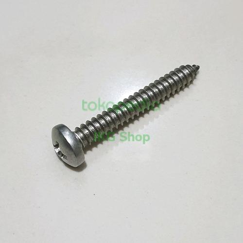 Jual Skrup sekrup taping screw Stainless SUS 304 PH 14 x 1 5/8 kepala ...