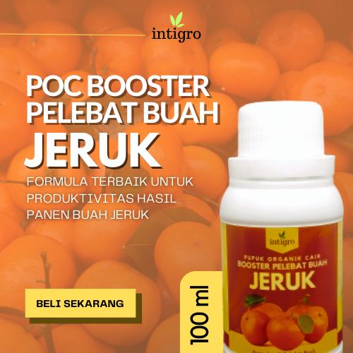 Promo Pupuk Jeruk Supaya Cepat Berbuah Booster Obat Pupuk Pelebat Buah ...