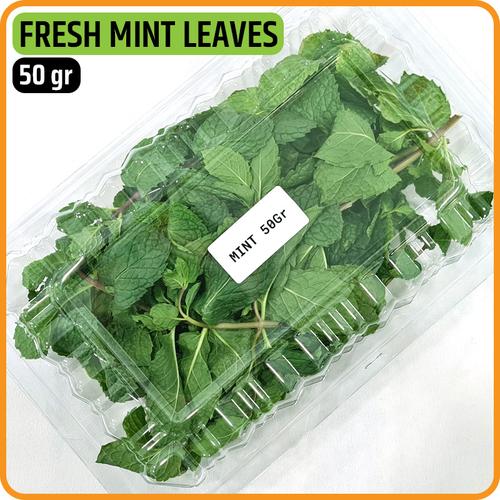 Jual Fresh Mint Leaves / Daun Mint Segar - 50 Gr - Kota Medan - MW ...