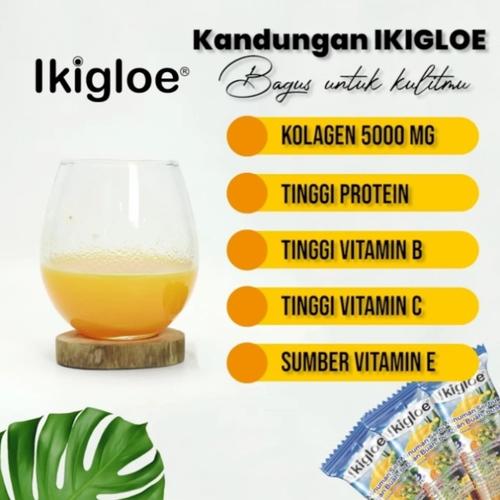 Jual Paket SILVER 5box SOP IKIGLOW Salmon Ovary Peptide COLAGEN Japan aging - Jakarta Utara ...
