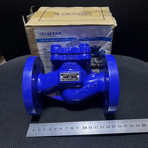 Jual Lift Check Valve SPV AYVAZ Flange 1 inch DN25 PN16 Original - Kota ...