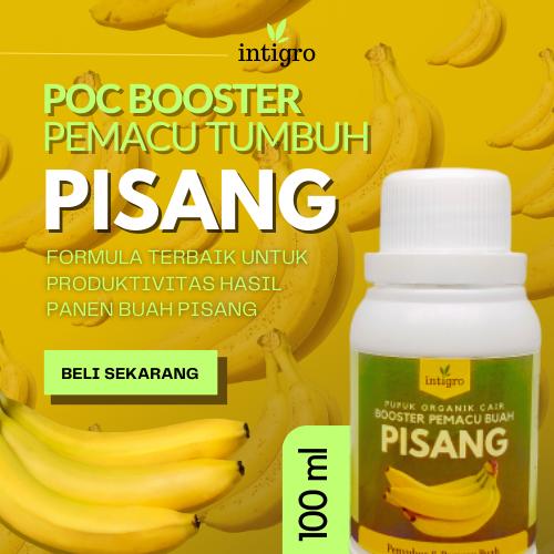 Jual Pupuk Pisang Organik Booster Pupuk Pisang Hayati Pemacu Buah Lebat - Kab. Sleman - Intigro ...