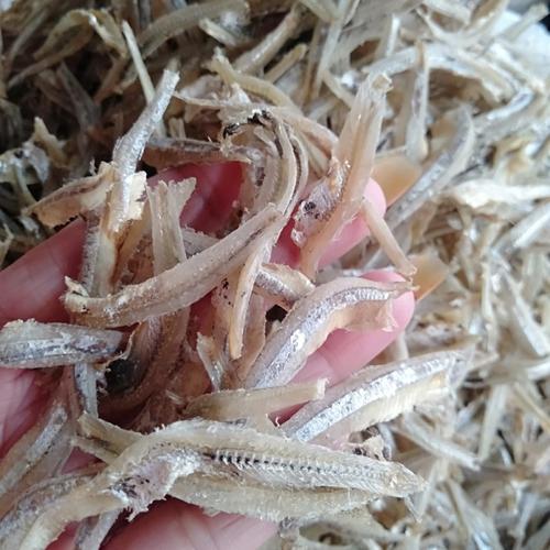 Jual Ikan Bilis Kering kupas Tg.Pinang 500g - Kota Tanjung Pinang ...