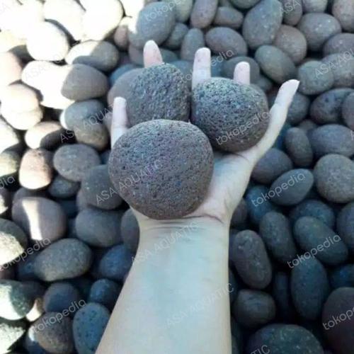 Jual Batu Hitam Bulat Batu Lava Batu Kali Hiasan Aquarium Aquascape ...