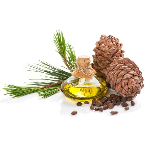 Jual PINE OIL 1 LITER MINYAK PINUS - Kab. Bogor - tirtahidromandiri ...
