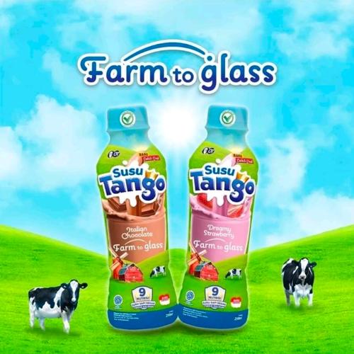 Jual SUSU TANGO UHT BOTOL 250 ML - Strawberry - Kota Tangerang Selatan ...