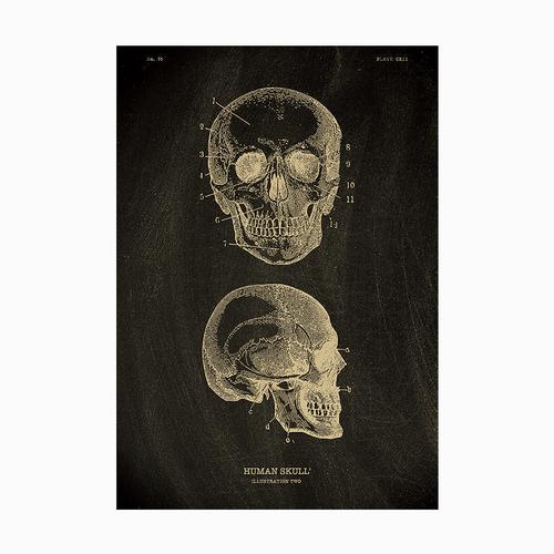 Jual Poster Dinding / Wallpaper Dekorasi Kamar Aesthetic - Anatomi ...