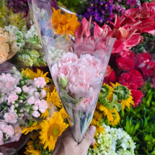 Jual bunga anyelir carnation satu ikat isi 5 batang - Merah - Jakarta ...